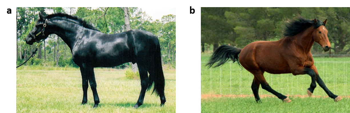 Chapter 1: The Foundations of Biochemistry – Chemistry